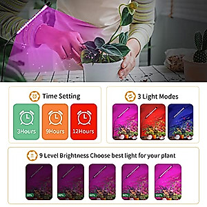 PYLYFE Full Spectrum Plant Grow Light, Grow Lights for Indoor Plant, Clip-on Full Spectrum Grow Light, Flexible Gooseneck, Automatic Timer, 4 Brightness Levels for Seedling Growing Blooming Fruiting 