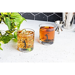 JEM GLASS F*ck Golf Whiskey Glasses - Set of 2 - Black Dishwasher Safe Print - Funny Golf Presents for Men, Women, Dad, Mom, Husband, Wife, Him, Her - 10.25 Ounces Each