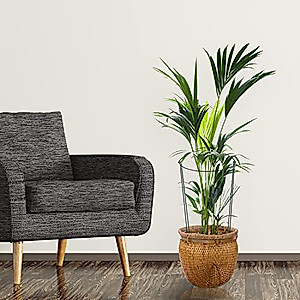 24 Pack Plant Support Stake, Half Round Metal Garden Plant Stake, Green Plant Support Ring, Border Support with Plant Lables & Plant Clips for Outdoor Indoor Plants, Vegetable, Flowers