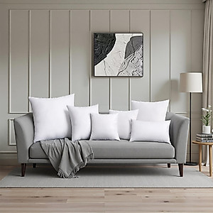 MIULEE Throw Pillow Insert Hypoallergenic Premium Pillow Stuffer Sham Rectangle for Decorative Cushion Bed Couch Sofa 12x20 Inch