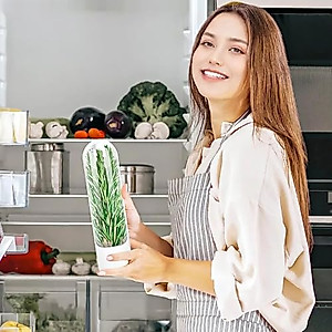 HVECT Herb Saver for Refrigerator, Herb Saver Pod Cilantro Containers for Refrigerator, Fresh Herb Keeper for Cilantro, Parsley, Asparagus, Mint, Keeps Vegetables for 2-3 Weeks (2PCS)