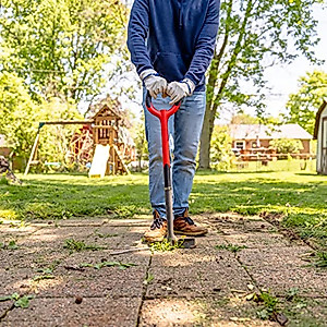 Radius Garden 22611 Root Slayer Edger, Red