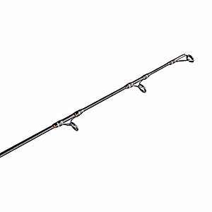 PENN Carnage III Inshore Spinning Fishing Rod