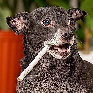 Pet Factory American Beefhide 5" Twist Sticks Dog Chew Treats - Natural Flavor, 10 Count/1 Pack