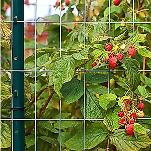 LADECH 3-4-5-6-7 Feet Sturdy Duty Metal Fence Post – Garden U Post for Fencing - 10 Pack (6 Feet)