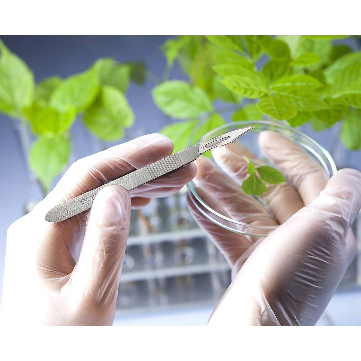 30 Pieces Scalpel Sterile Blades #10 with 2 Pack #3 Metal Scalpel Knife Handle & Storage Case, for Biology Lab Anatomy, Practicing Cutting, Medical Student, Sculpting, Repairing, Crafts, Leather