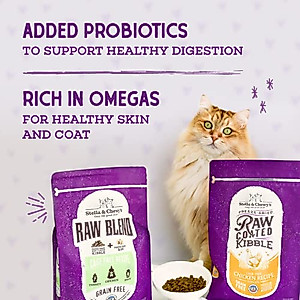 Stella & Chewy’s Raw Coated Premium Kibble Cat Food – Grain Free, Protein Rich Meals – Wild Caught Salmon Recipe – 2.5 lb. Bag