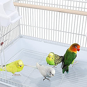 Topeakmart 39inch Height Roof Top Bird Cage Medium Metal Parakeet Cage with Swing & Ladder, White