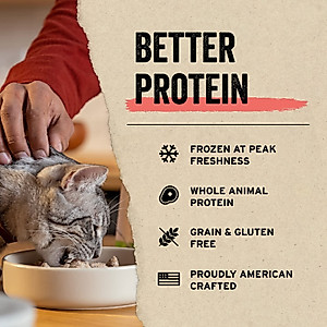 Vital Essentials Freeze Dried Raw Single Ingredient Cat Treats, Duck Liver, 0.9 oz