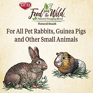 Kaytee Food from The Wild Natural Snack for Pet Rabbits, Guinea Pigs And Other Small Animals, 1 Ounce
