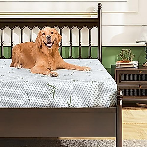 IULULU Queen Size Mattress, 8 Inch Queen Mattress in a Box, Gel Memory Foam Bamboo Cover Mattress Green Tea Cooling Medium Firm Bed Mattress for Pain Relief, CertiPUR-US Certified,White