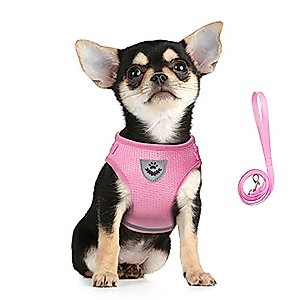 FEimaX No Pull Dog Harness and Leash Set, Soft Mesh Adjustable Lightweight Puppy Harnesses with Reflective Strap, Escape Proof Small Dog Cat Vest for Outdoor Walking