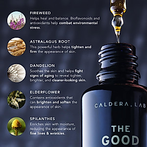 Caldera + Lab The Regimen, Vegan Skin Care Bundle: Gentle Foaming Cleanser, Ultra-Hydrating Moisturizer & Multi-Functional Facial Serum – MADE SAFE Certified