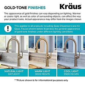 KRAUS Allyn 100% Lead-Free Kitchen Water Filter Faucet in Brushed Gold, FF-102BG
