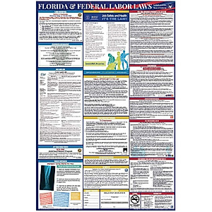 2023 Florida State and Federal Combo Complete All-in-One Labor Law Poster - OSHA Compliant - 26"x39" Waterproof UV Coated