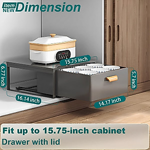 ZHOHO TANT Sliding Cabinet Drawer Organizer, Super Heavy Duty Steel Pull-Out Unit Organizer Drawer with Lid, for Cabinet, Countertop, Home and Office(W15.75'' x D16.1'' x H6.77'' Assembly Free)