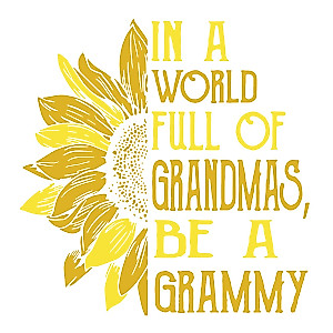 in A World Full of Grandmas Be Grammy 4.0 inch Refrigerator Magnets – Funny Magnets for Fridge Dishwasher, Whiteboard, Toolbox or Car and Truck PM879