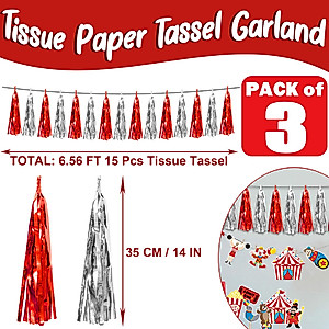 3P Red Silver Foil Fringe Metallic Tassel Streamers Banner Tassel Garland for Parade Floats, Bachelorette, Wedding, Birthday, Halloween, Christmas, Bridal/Baby Shower Party Decorations