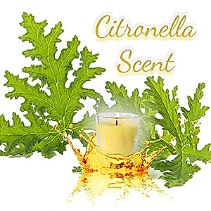 CandleNScent Citronella Scented Votive Candles in Glass | Up to 20 Hour Burn Time (Pack of 8)