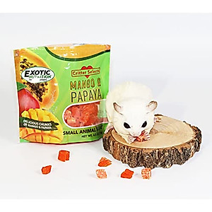 Mango & Papaya Treat (4.5 oz.) - Healthy Natural Dried Fruit Treat - For Sugar Gliders, Hedgehogs, Prairie Dogs, Chinchillas, Monkeys, Squirrels, Skunks, Parrots, Degus, Marmosets & Other Small Pets