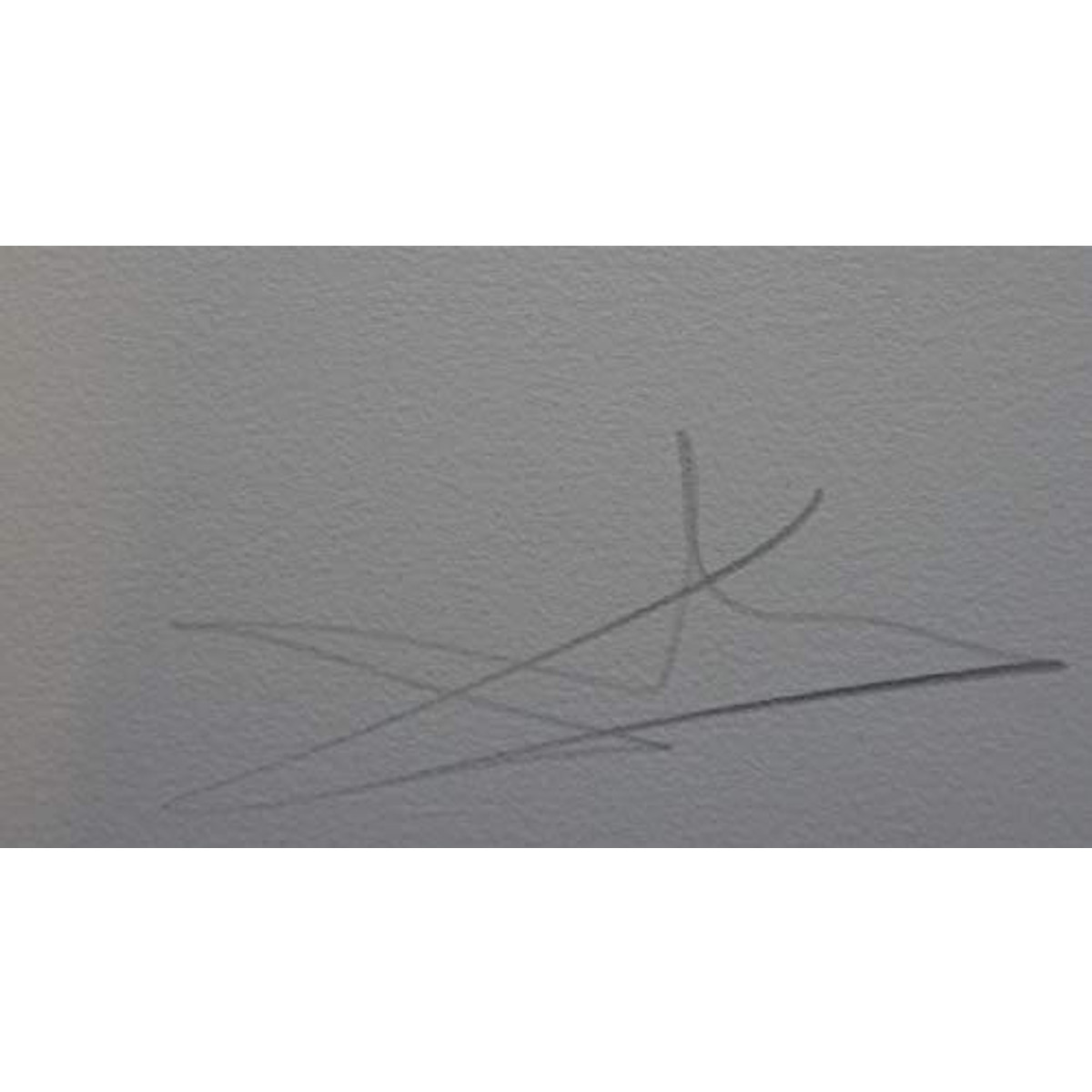 Vitraux in Four Sheets Puzzle of Life