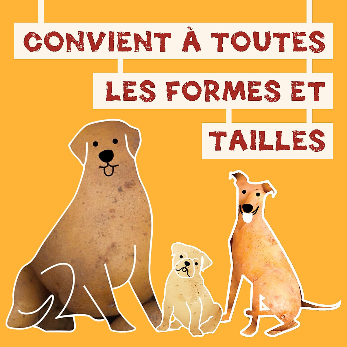 Benevo Vegan Pawtato Knots Large