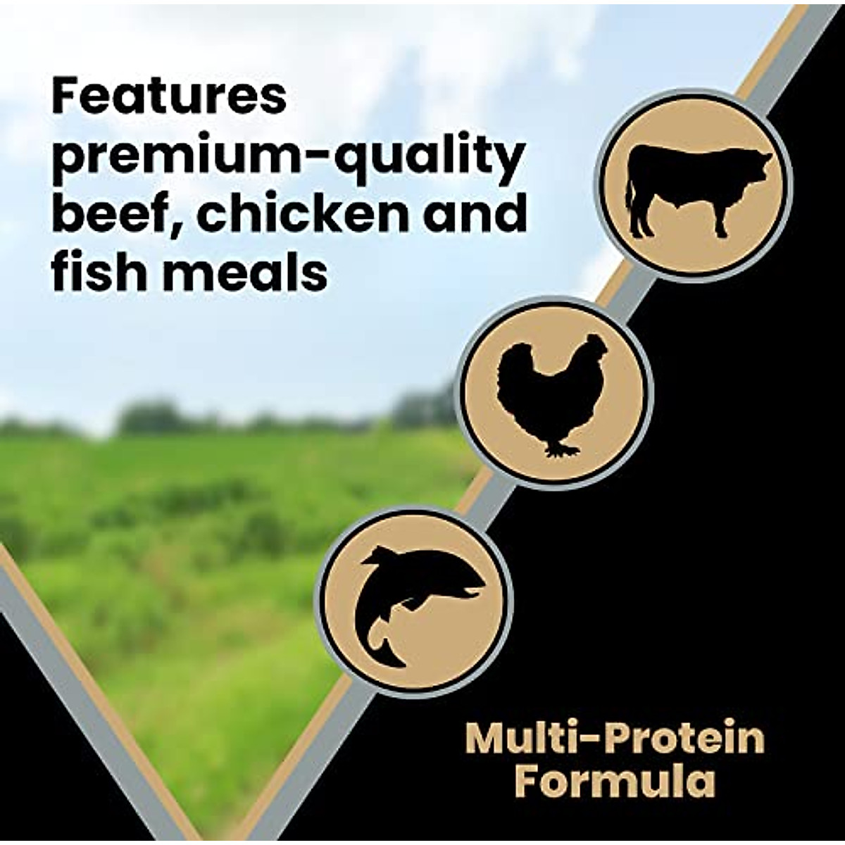 Victor Super Premium Dog Food – Purpose - Senior Healthy Weight – Gluten Free Weight Management Dry Dog Food for Senior Dogs with Glucosamine and Chondroitin, for Hip and Joint Health, 40lbs