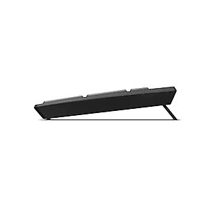 Lenovo – Wireless Compact Keyboard– 100 Cordless Keyboard for PC, Laptop with Windows – Cordless Connection – Silent Key Clicks, Black