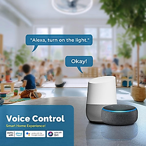 Orison Smart Ceiling Fans with Lights Compatible with Alexa and Google Assistant 20", Low Profile Ceiling Fan with Lights Remote,APP Control,6 Speed Reversible Blades for Bedroom/Living Room