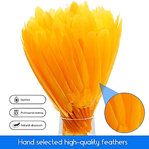 FeelfunFeather 120pcs Golden Yellow Goose Cochettes Feather Natural bulk 4-6 inch 10-15cm for Wedding Party Christmas Halloween Decorations DIY Crafts Goose Cochettes Feather
