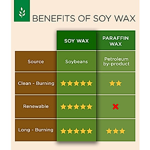 Stillwater Bath and Body™ Naturesway™ French Vanilla Odor Eliminating Scented Candle for Home - Non-Toxic, Long Lasting, All Natural Soy Wax Candle - 12.5 Ounce Jar with Lid - Hand Made in The USA