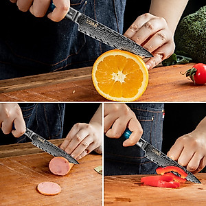 WAK Professional Sharp Kitchen Utility Knife 5 inch, High Carbon Stainless Steel Damascus Cooking Knife, Japanese Cutlery Knife with Non-stick Blade, Blue Resin Wood Ergonomic Handle