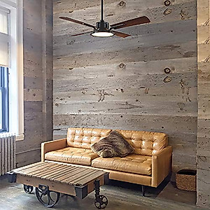 Modern Forms Fans FR-W1818-56L-OB/DW Restoration 56``Ceiling Fan from Nautilus collection in Bronze/Dark finish,