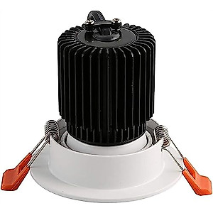 UANGLI Sturdy 12W/20W/30W COB Ultra Bright Recessed Ceiling Spotlights Modern Round Anti-Glare Embedded Downlights Aisle (Size : 20w)