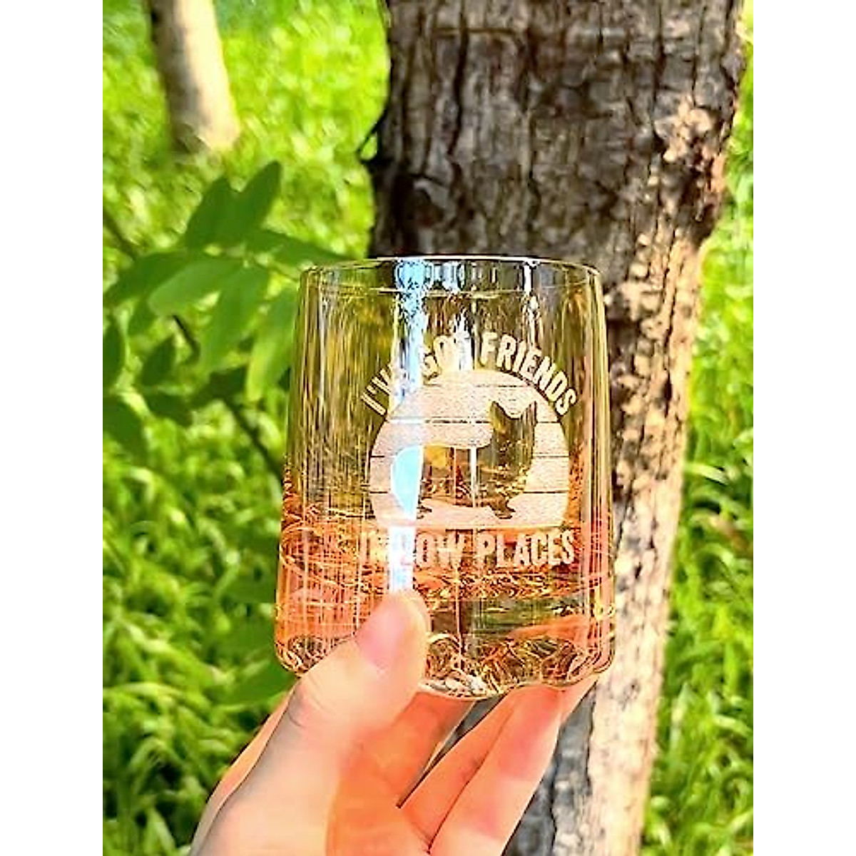 Mothers Gifts for Corgi Dog Mom, Corgi Whiskey Water Drinking Glass Tumbler, I've Got Friends in Low Places