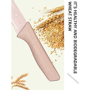 Colorful Kitchen Knives Set of 6 PCS Cute Fruit Knife Set with Gift Box,High Carbon Steel Kitchen Knife Set without Block, Environmental Wheat Straw Material Handle, Sharp Professional Chef Knife