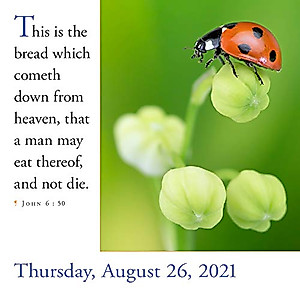 365 Bible Verses-A-Year Page-A-Day Calendar 2021