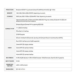 Raspberry Pi Compute Module 4-2GB RAM eMMC 0GB (Lite), 2.4/5.0GHz with Wi-Fi & Bluetooth (CM4102000)