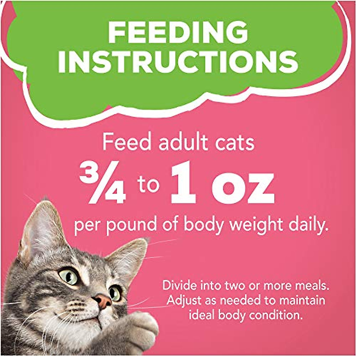 Purina Friskies Salmon Dinner Pate Wet Cat Food, 5.5 oz. Cans (Pack of 12)