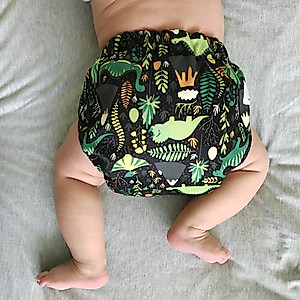 Reusable Waterproof Diaper Cover Shell: for Baby Prefold Cloth Diapers, Flats, Fitted or Inserts (Whale)