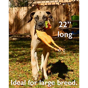 Rubber Chicken Dog Toys - Natural Rubber (Latex) - Lead-Free Chemical-Free - Complies with Same Safety Standards as Baby Toys - Soft Unstuffed Squeaky (Extra-Large)