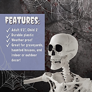 Posable Life Size Human Skeleton Family Set of 4-2 Adult (5' 2")& 2 Children (2')-Halloween Prop Indoor Outdoor Decorations w Bending Articulated Bones- Spooky Haunted House Party Lawn Décor