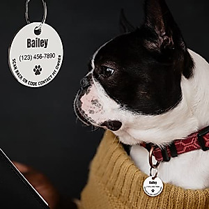 MYLUCKYTAG Personalized Pet ID Tags Dog Tags - Stainless Steel QR Code ID Tags - Pet Online Profile - Send Pet Location Alert Email When Scanning