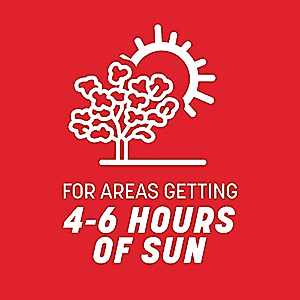 Pennington The Rebels Tall Fescue Grass Seed Mix 7 lb