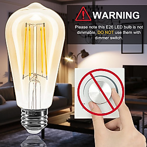 TopLeder Vintage LED Edison Bulbs 6W, Equivalent 60W Incandescent, Warm White 2700K, E26 Medium Base, Non-Dimmable, ST58 Antique LED Filament Bulbs with 80+ CRI, Amber Glass, Pack of 6