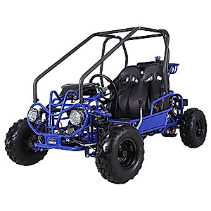 HHH Gokart GK125 is a125CC Gokart Fully Automatic Gas 2 Seater Kandi Mini Raptor gokart with Reverse for Youth (Blue)