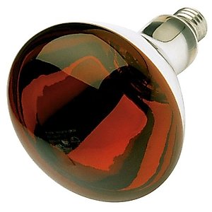 Satco 250-Watt BR40 Incandescent Red Heat Lamp Light Bulb (12 Pack)