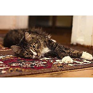 Cattolo-Kitchen Mat [2 PCS] Cushioned Anti-Fatigue Kitchen Rug (Tableware)