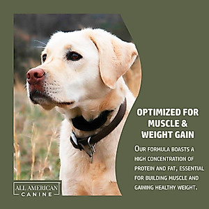 All American Canine Bulk & Bark Weight Gainer + Digestive Aid Formula Natural Health Supplement Food Topper for Working, Hunting & Sports Dogs, 60 Servings