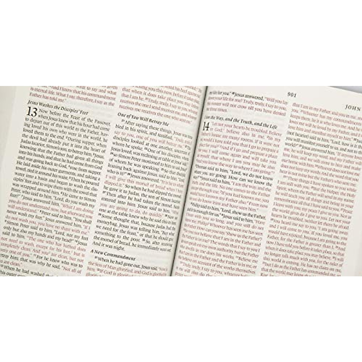 ESV Thinline Bible (TruTone, Royal Lion)